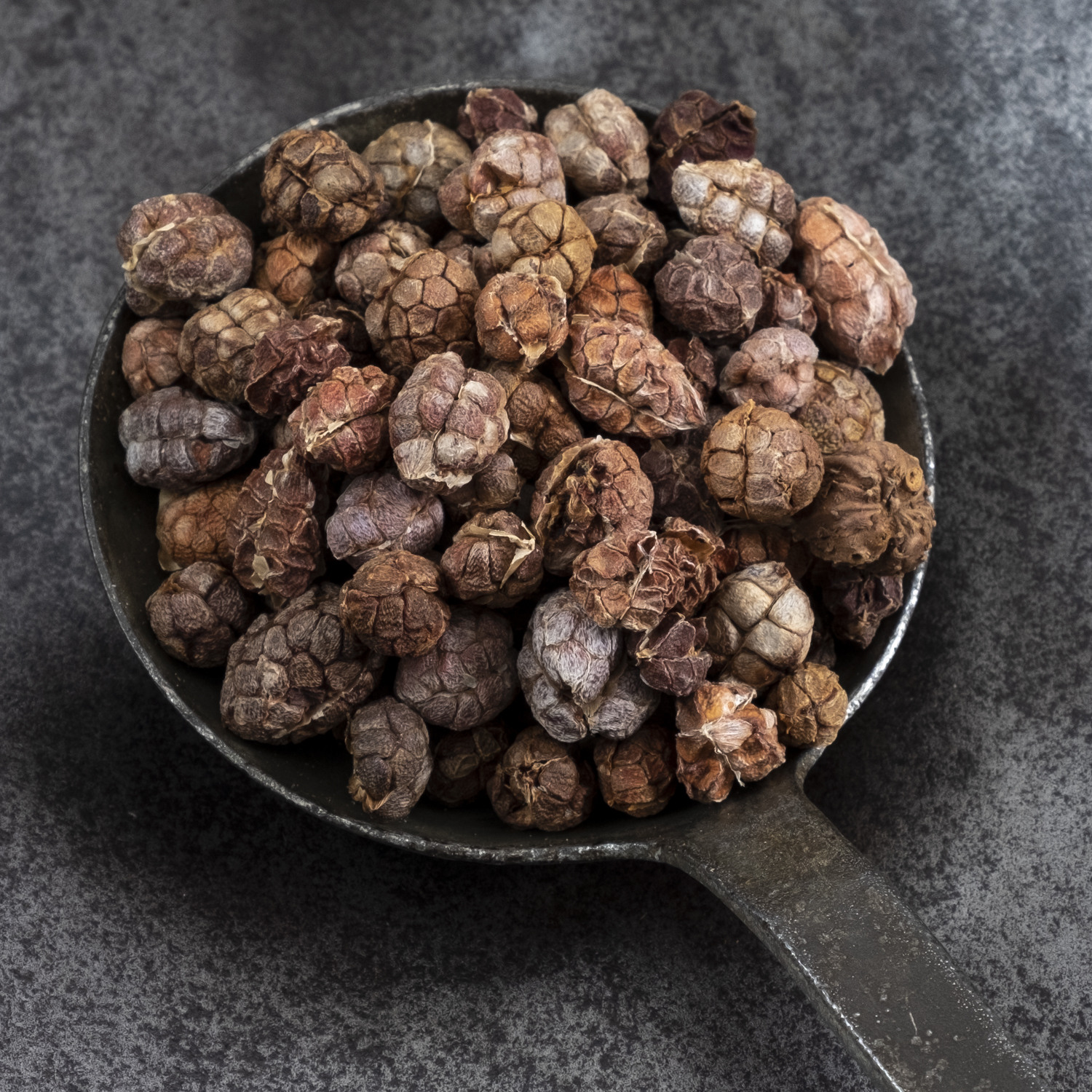 Wald-Kardamom Kambodscha ganz 40g - schwarzenbach.ch