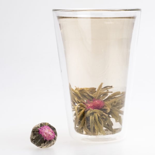 China Jasmin Teeblume, Yu Long Tao - schwarzenbach.ch