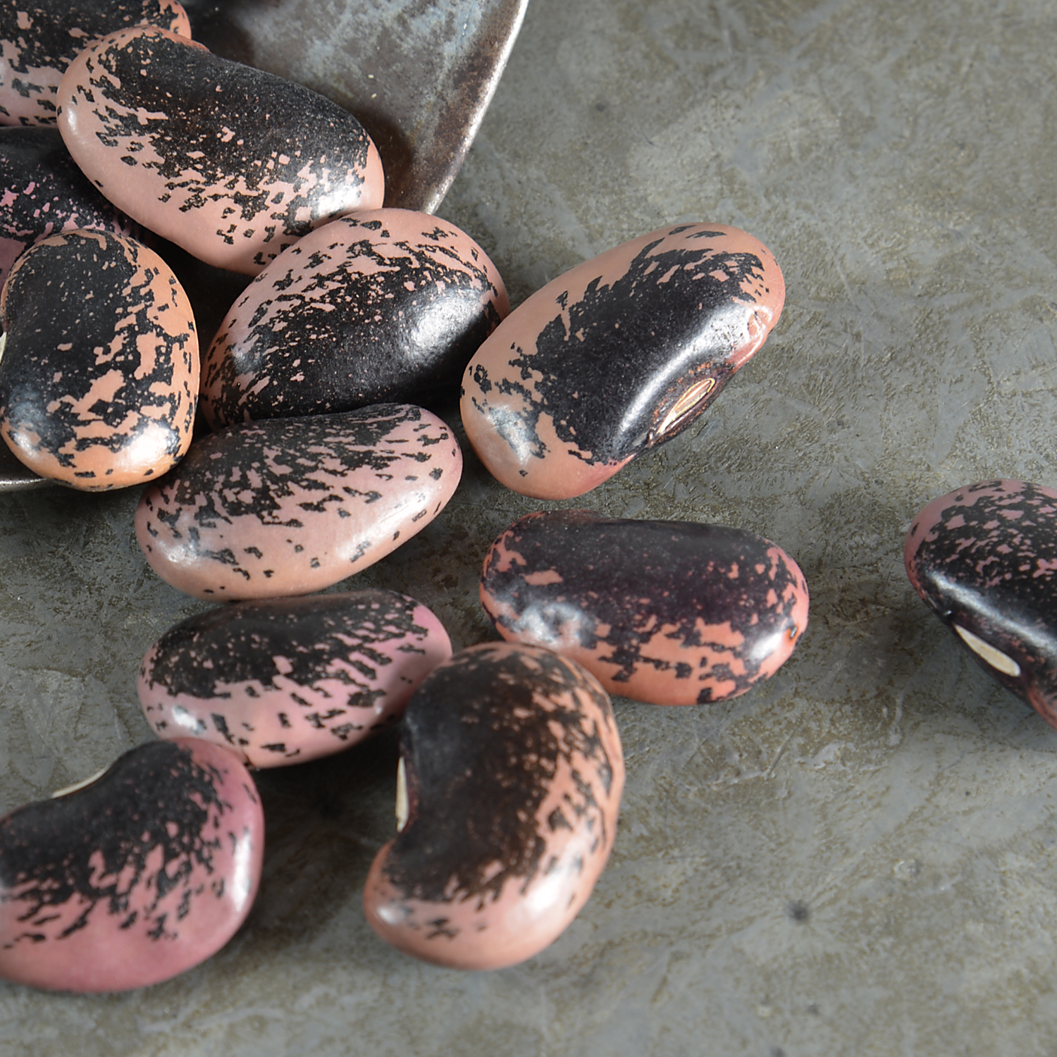 Feuerbohnen/Käferbohnen, Österreich 300g - schwarzenbach.ch