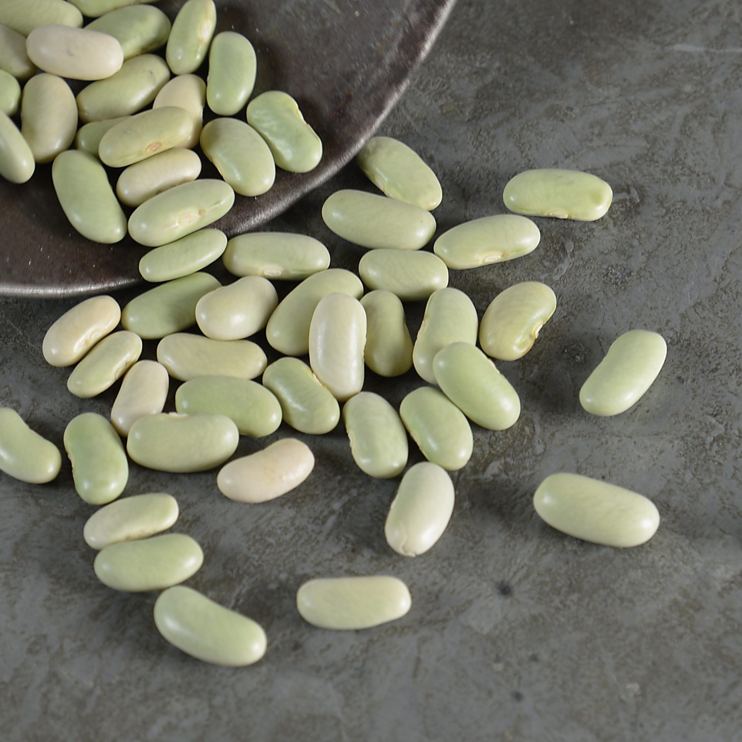 Flageolet beans, France 400g - schwarzenbach.ch