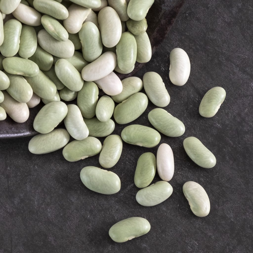Flageolet Bohnen, Frankreich 400g - schwarzenbach.ch